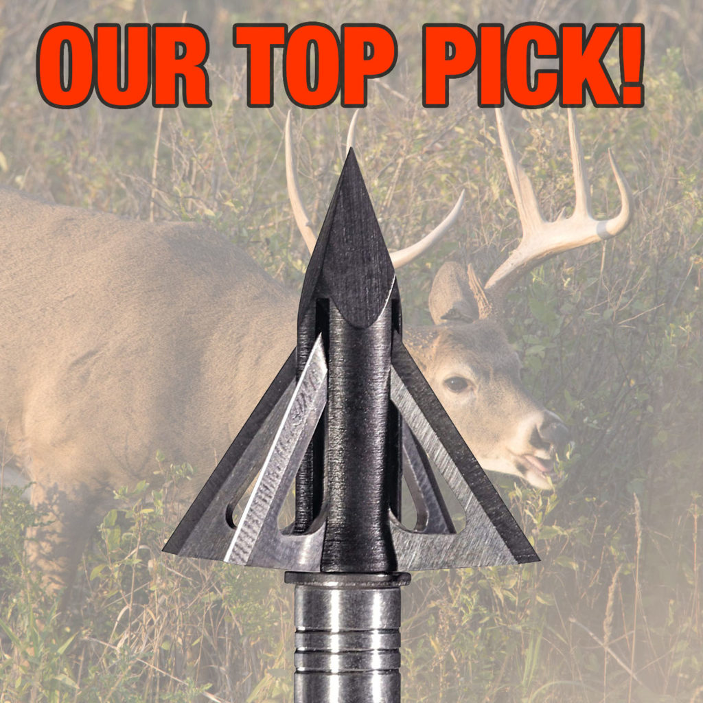 9 Best Fixed Blade Broadheads for Deer Hunting [2022]