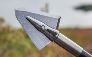 10 Best Broadheads for Traditional Archery [2022]